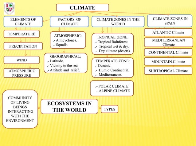 Diagram. climate, climate zones & ecosystems. english | PDF | Weather ...