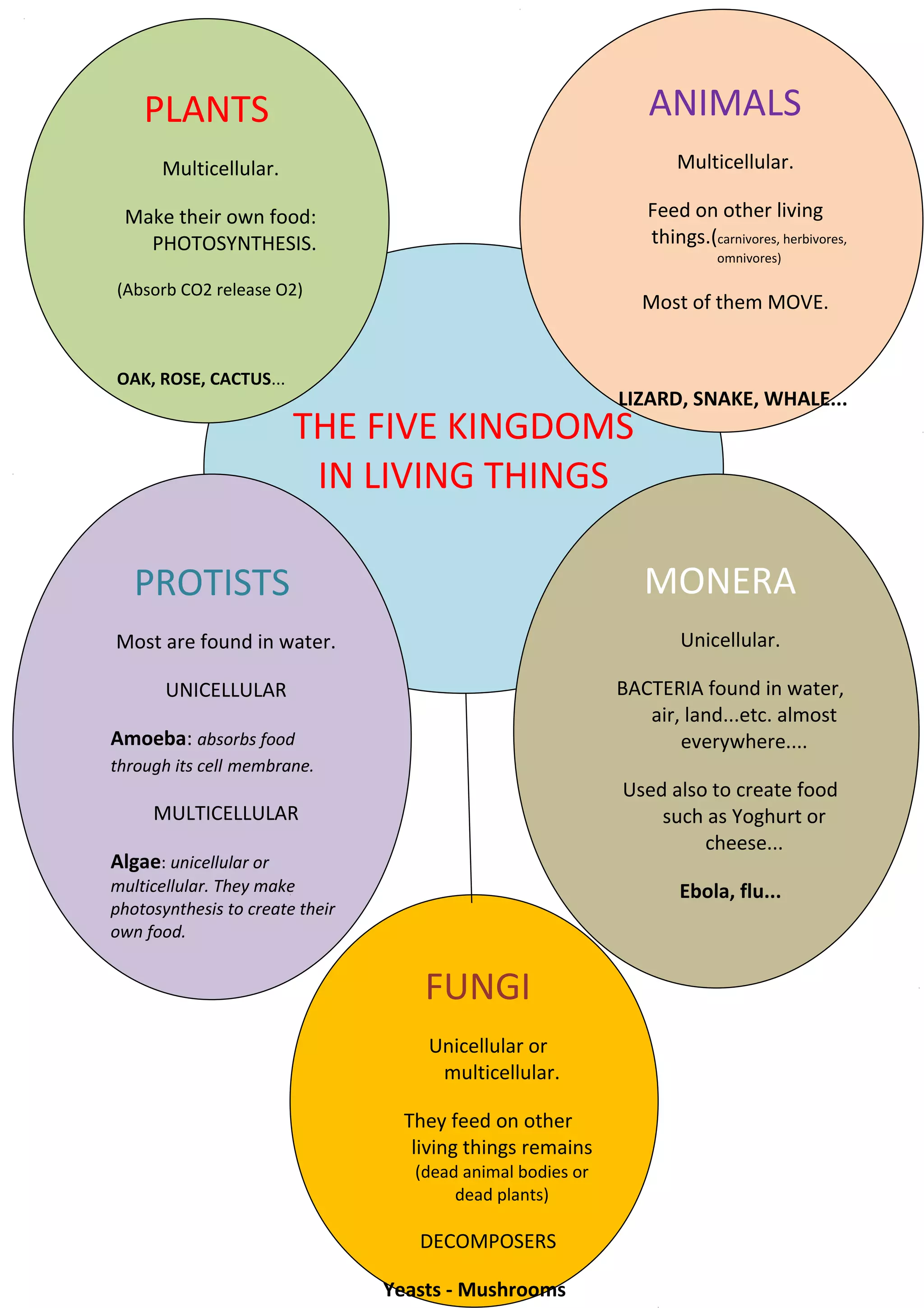 living things: 5 kingdoms | PDF