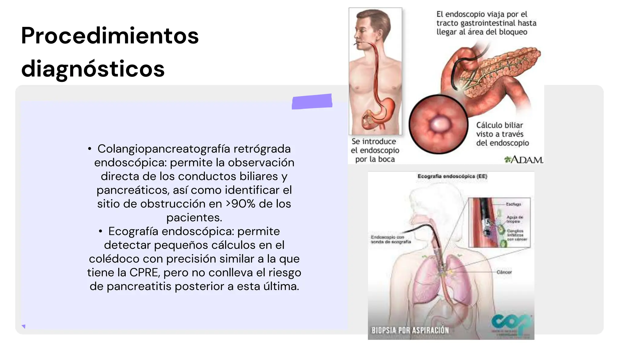 Diagrama De Afinidad Lluvia De Ideas Presentaciónpptx