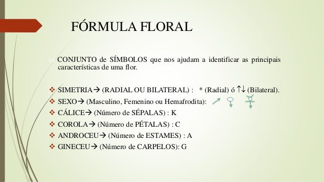 Diagrama floral e fórmula floral