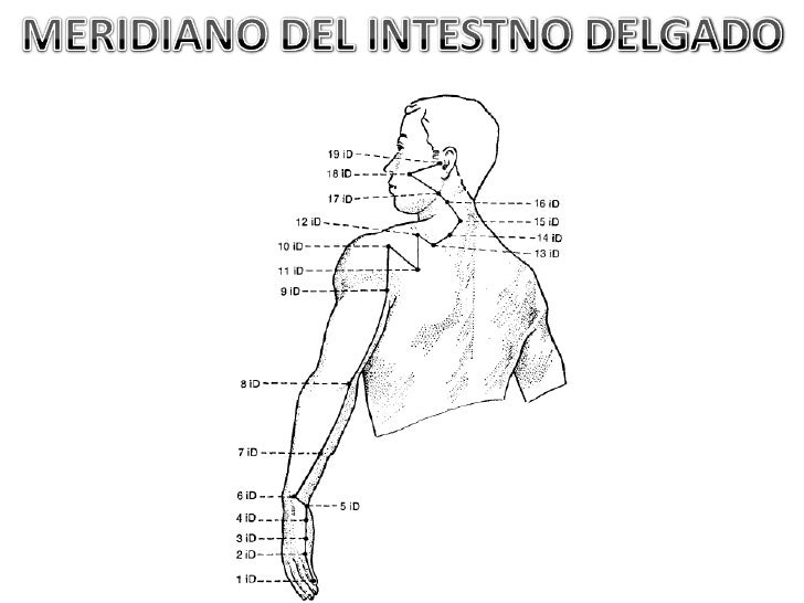 Diagramas de Acupuntura