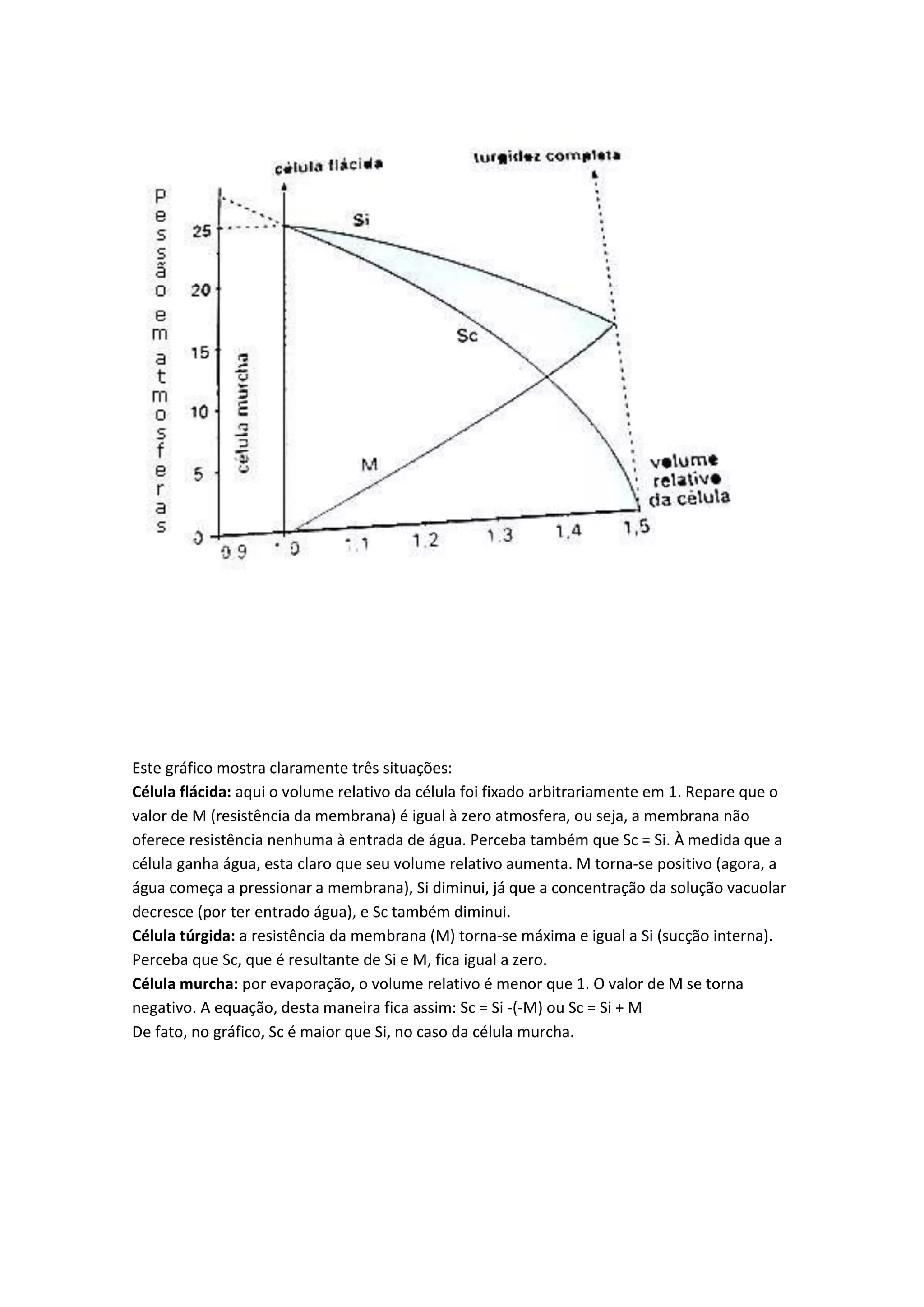 Diagramas de hofler | DOCX