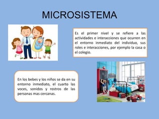 Diagrama teoria ecologica | PPTX