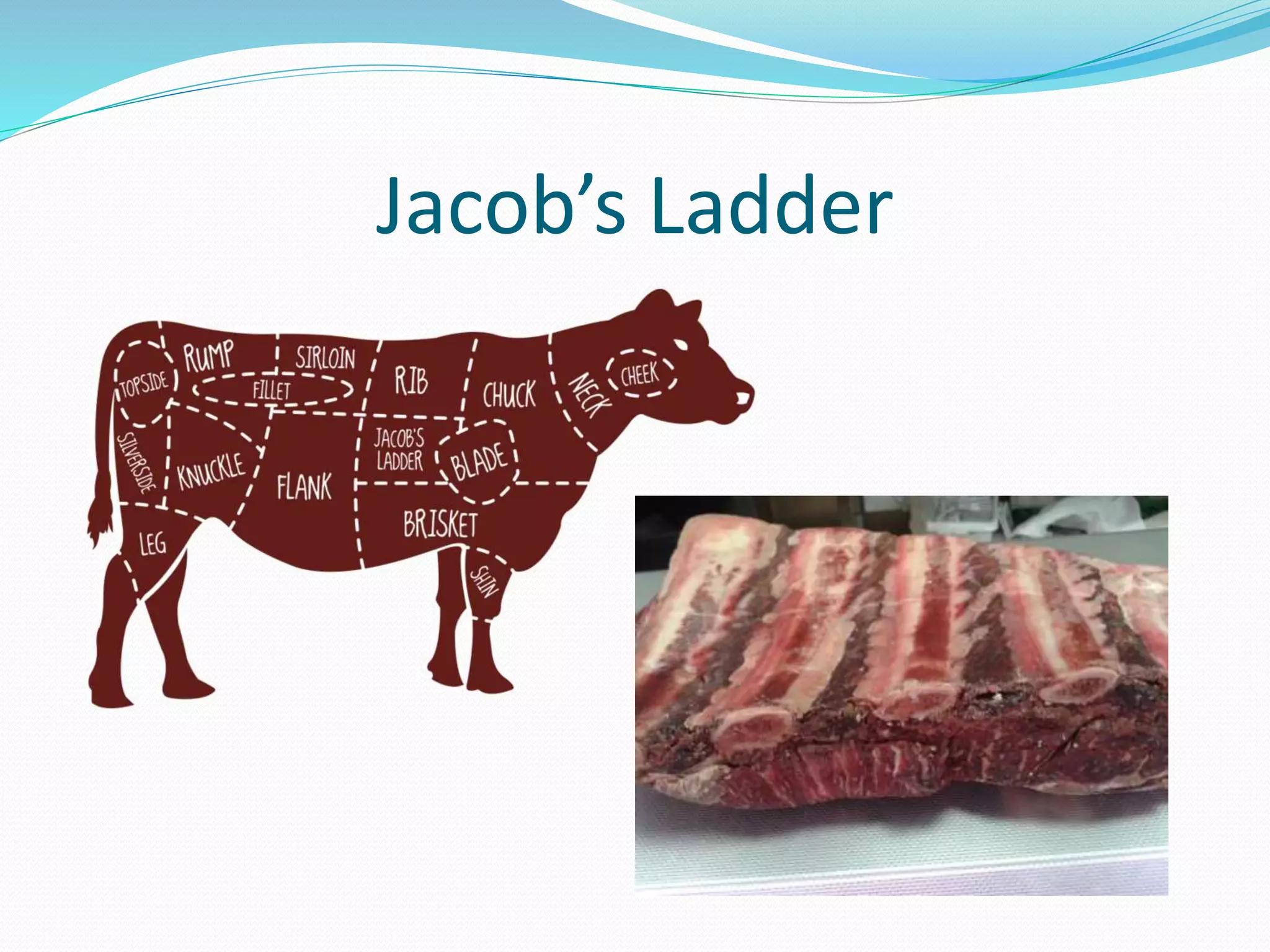 Jenis Potongan Daging Sapi | PPTX