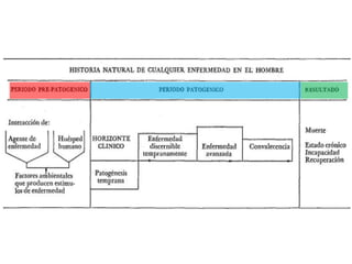Diagram de leavell y clarck historia natural de la enfermedad | PPTX