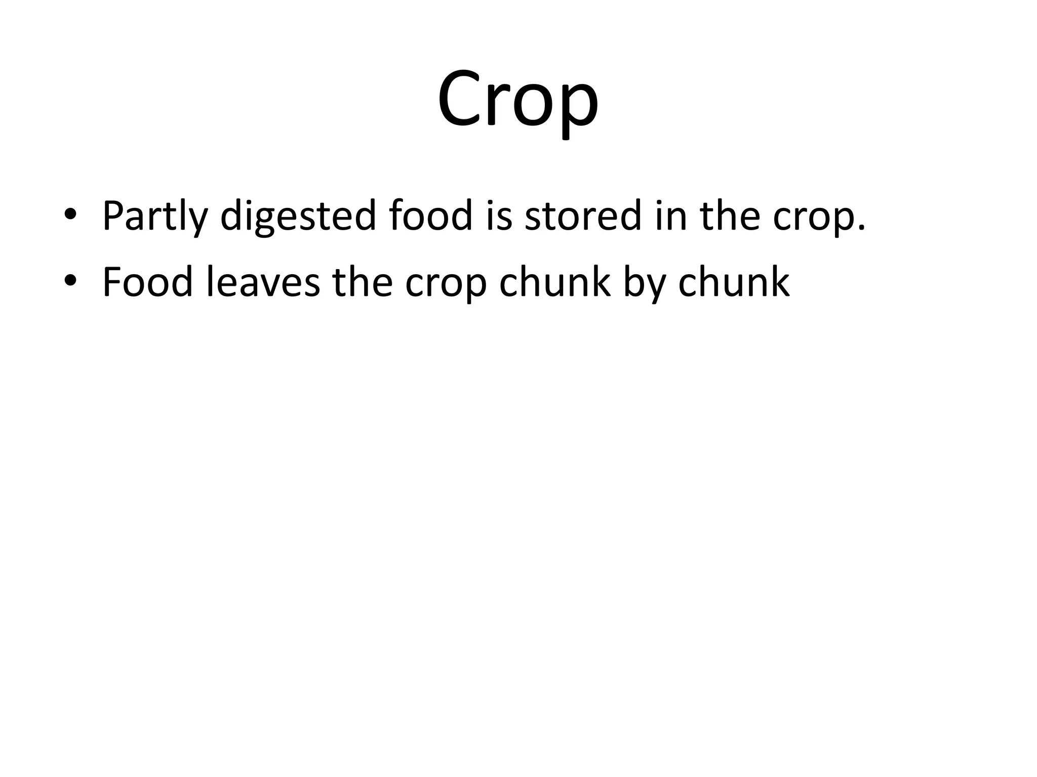 Diagram of alimentary and digestive glands in cockroach | PPTX