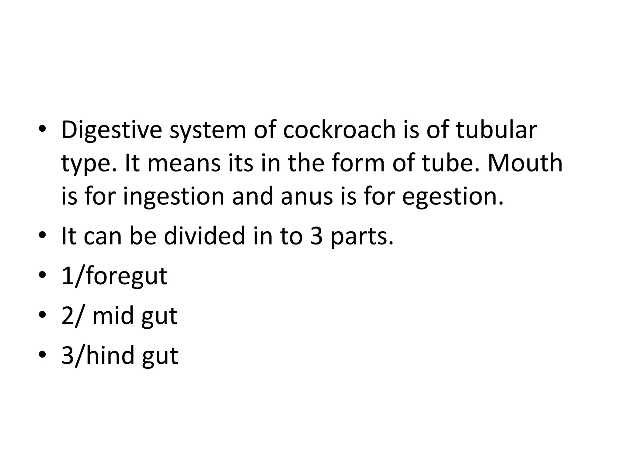 Diagram of alimentary and digestive glands in cockroach | PPTX