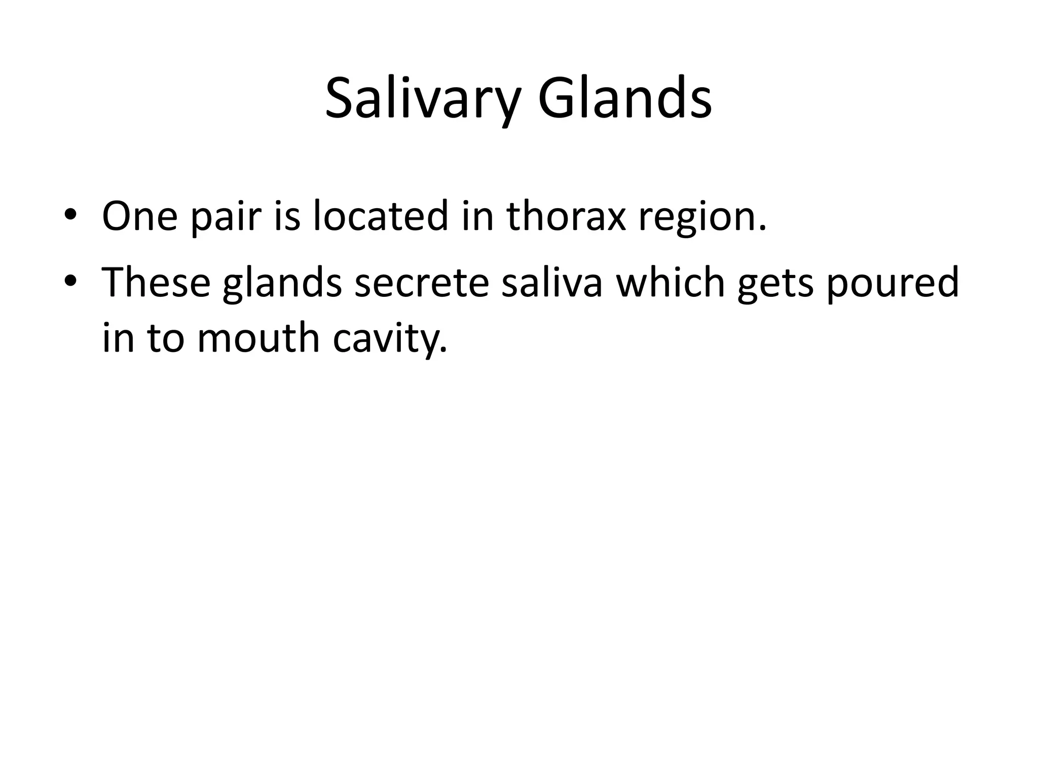 Diagram of alimentary and digestive glands in cockroach | PPTX