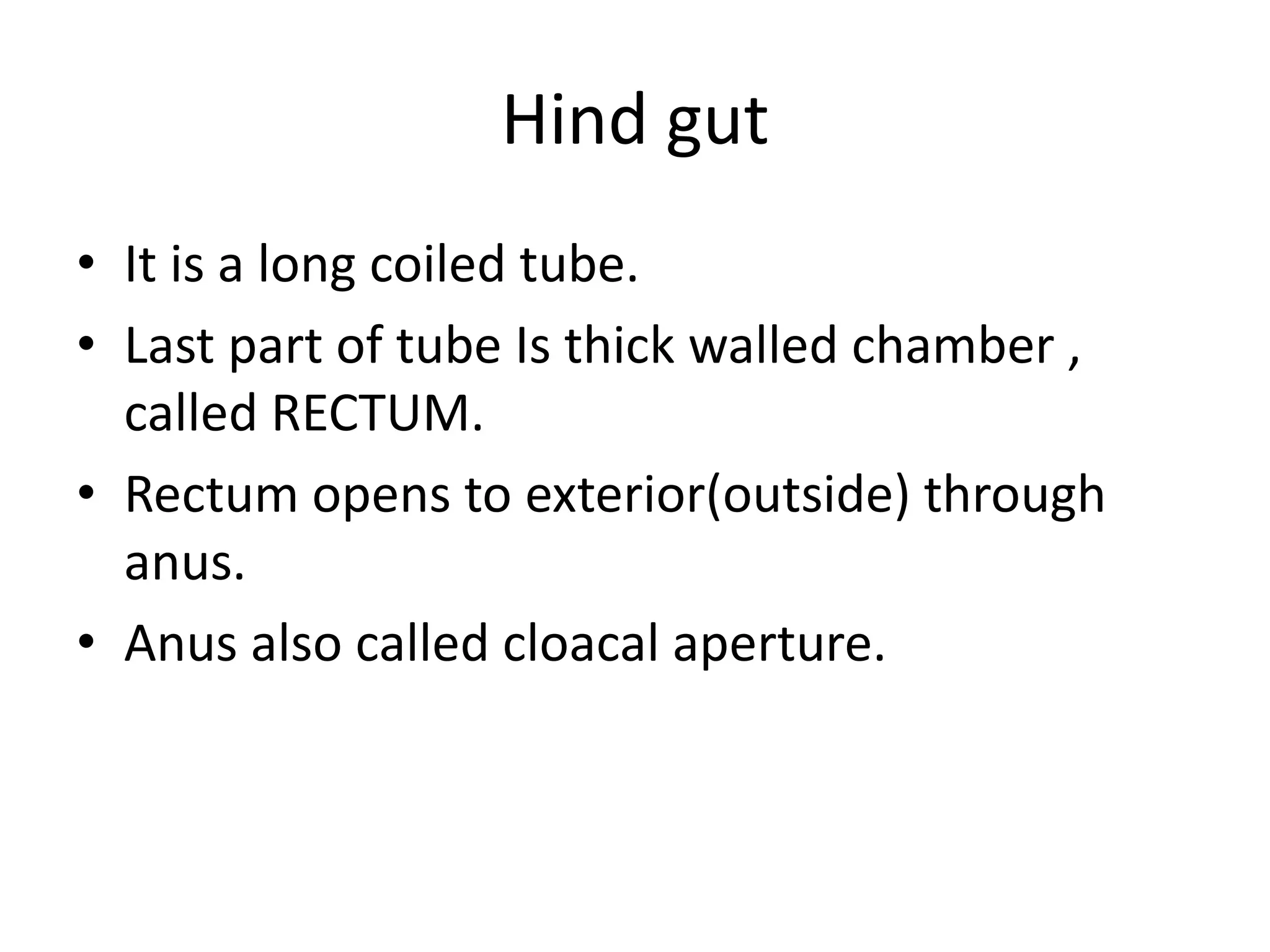 Diagram of alimentary and digestive glands in cockroach | PPTX