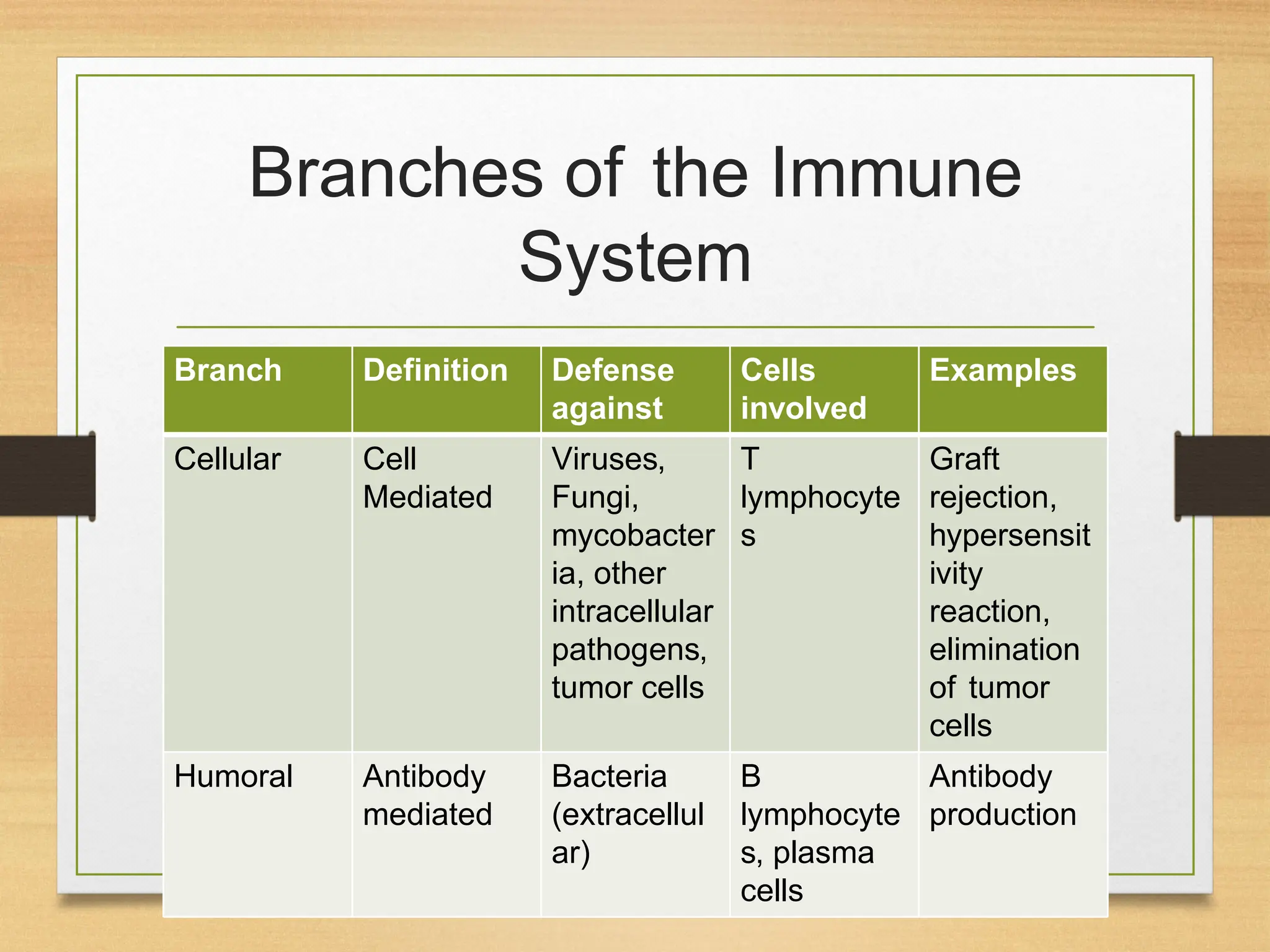 Diagram_of_Immune_systems_.pdf@123456778 | PDF