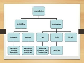 Diagram_of_Immune_systems_.pdf@123456778 | PDF