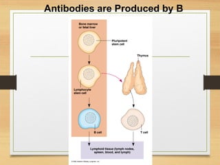 Diagram_of_Immune_systems_.pdf@123456778 | PDF