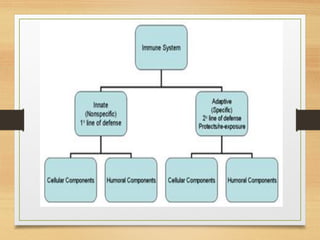 Diagram_of_Immune_systems_.pdf@123456778 | PDF