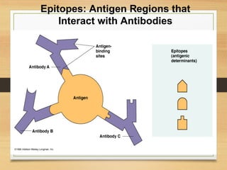 Diagram_of_Immune_systems_.pdf@123456778 | PDF
