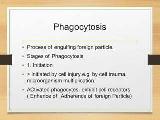 Diagram_of_Immune_systems_.pdf@123456778 | PDF