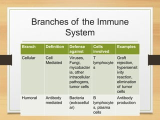 Diagram_of_Immune_systems_.pdf@123456778 | PDF