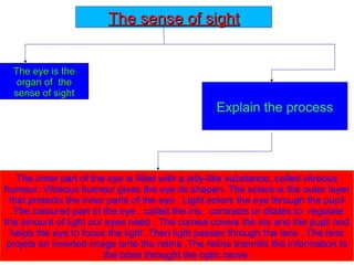 Diagram of sight | PPT