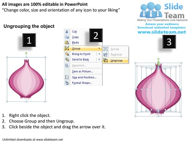Diagram peel the onion power point presentation slides | PPT