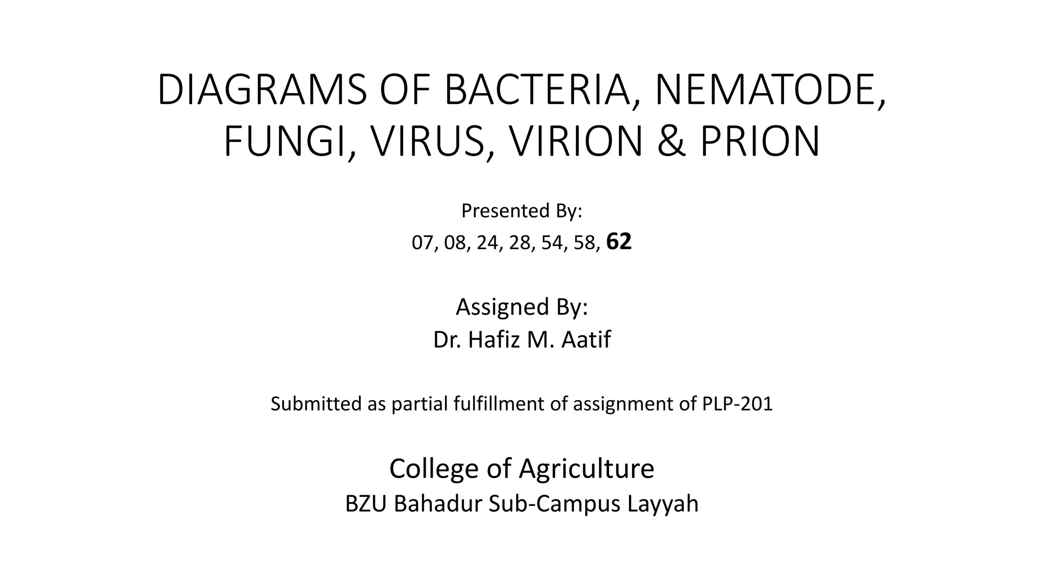 Diagrams of bacteria, nematode, fungi, virus, virion & prion | PPT