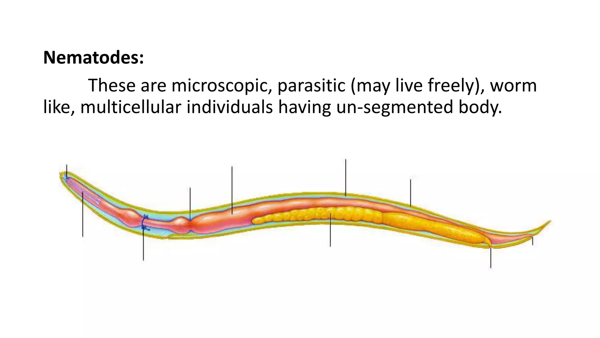 Diagrams of bacteria, nematode, fungi, virus, virion & prion | PPTX