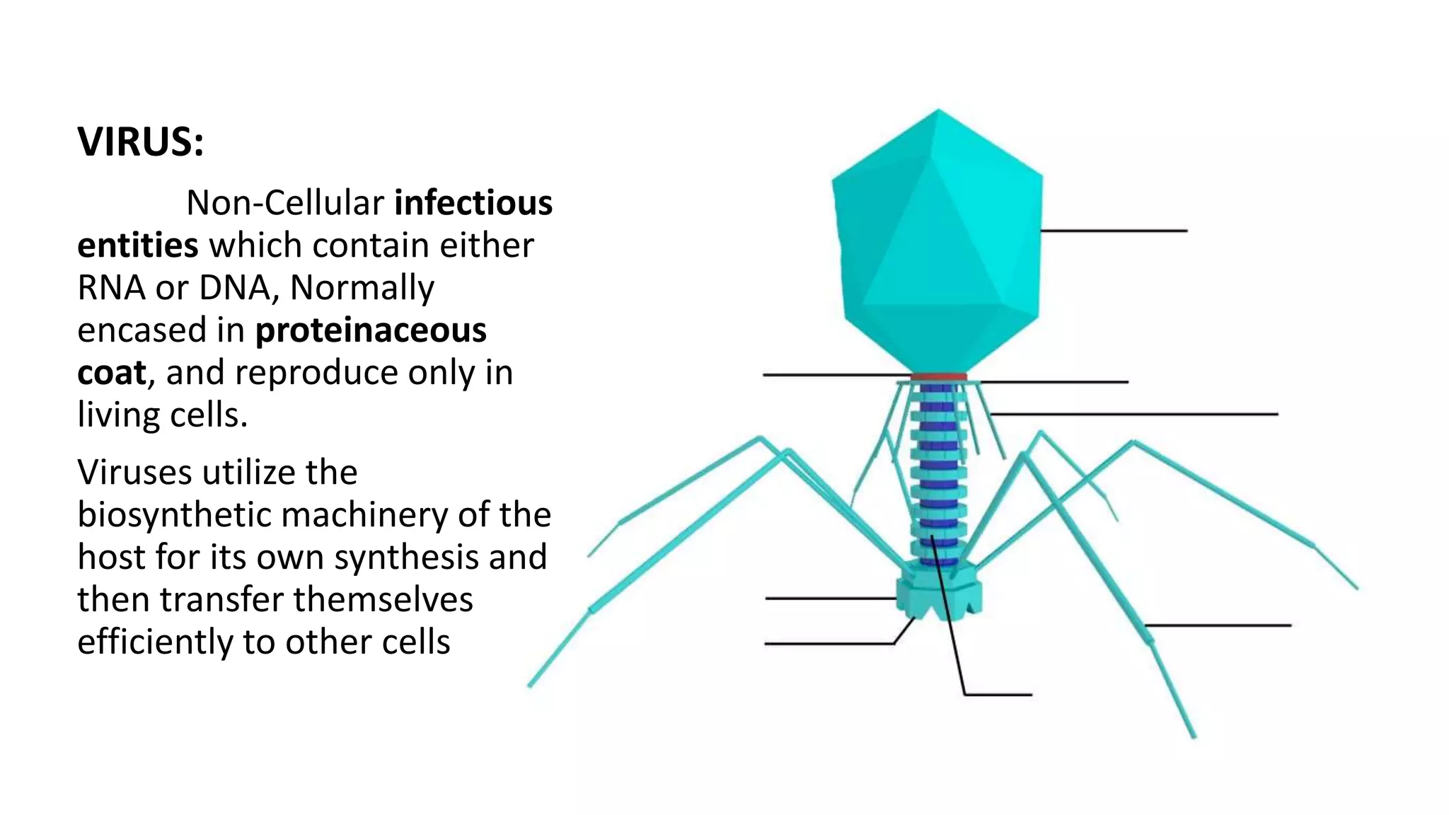 Diagrams of bacteria, nematode, fungi, virus, virion & prion | PPTX