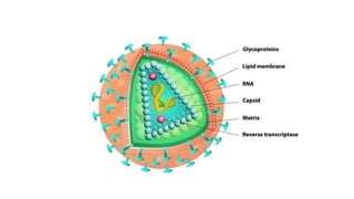 Diagrams of bacteria, nematode, fungi, virus, virion & prion | PPTX