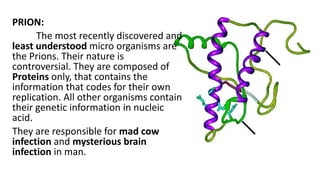 Diagrams of bacteria, nematode, fungi, virus, virion & prion | PPT