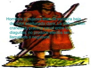 Diaguitas | PPT