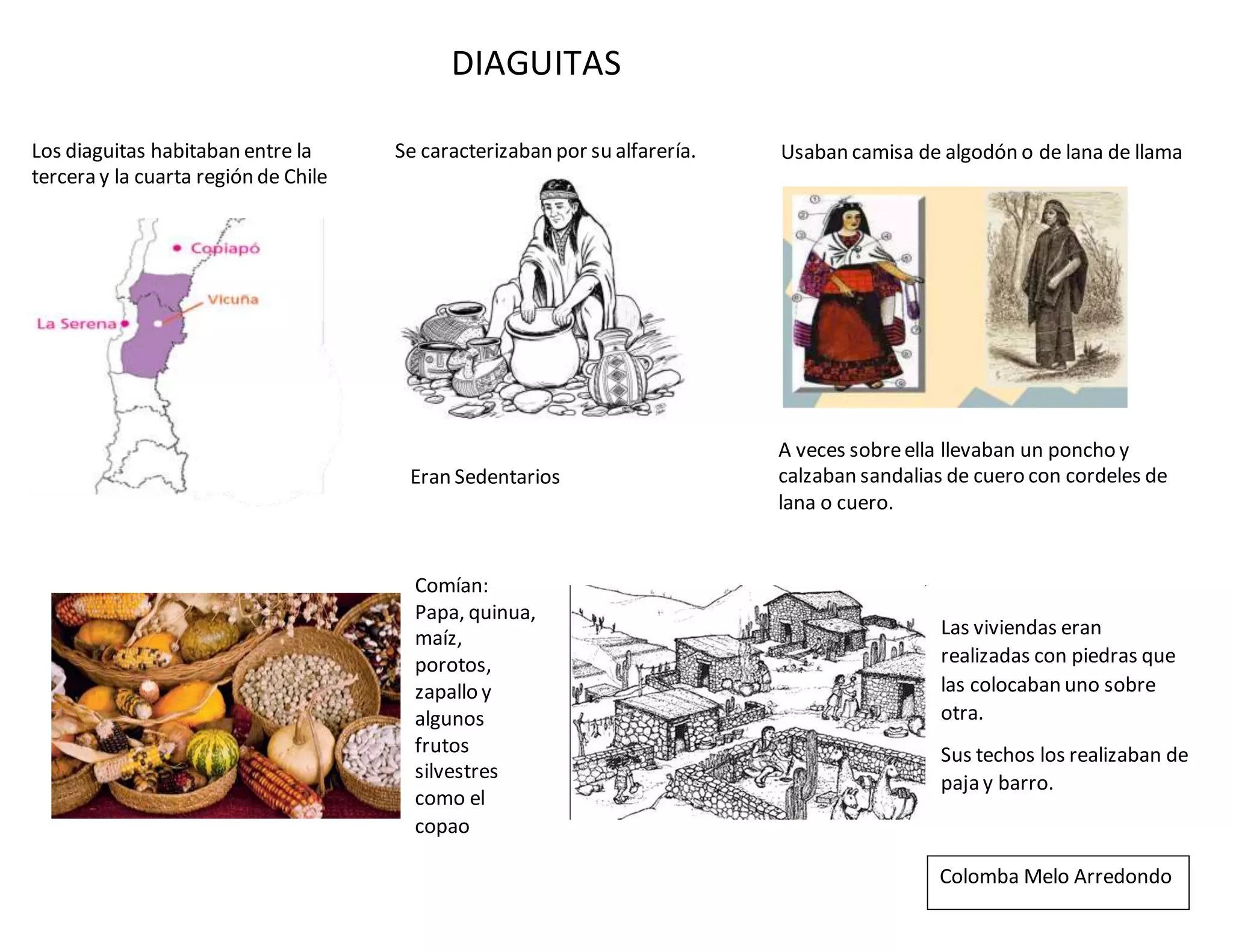 Diaguitas | DOCX