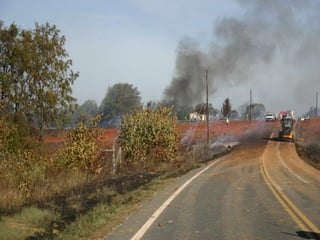 Dial Before You Dig | PPT