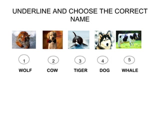 Dia lexical sets | PPT