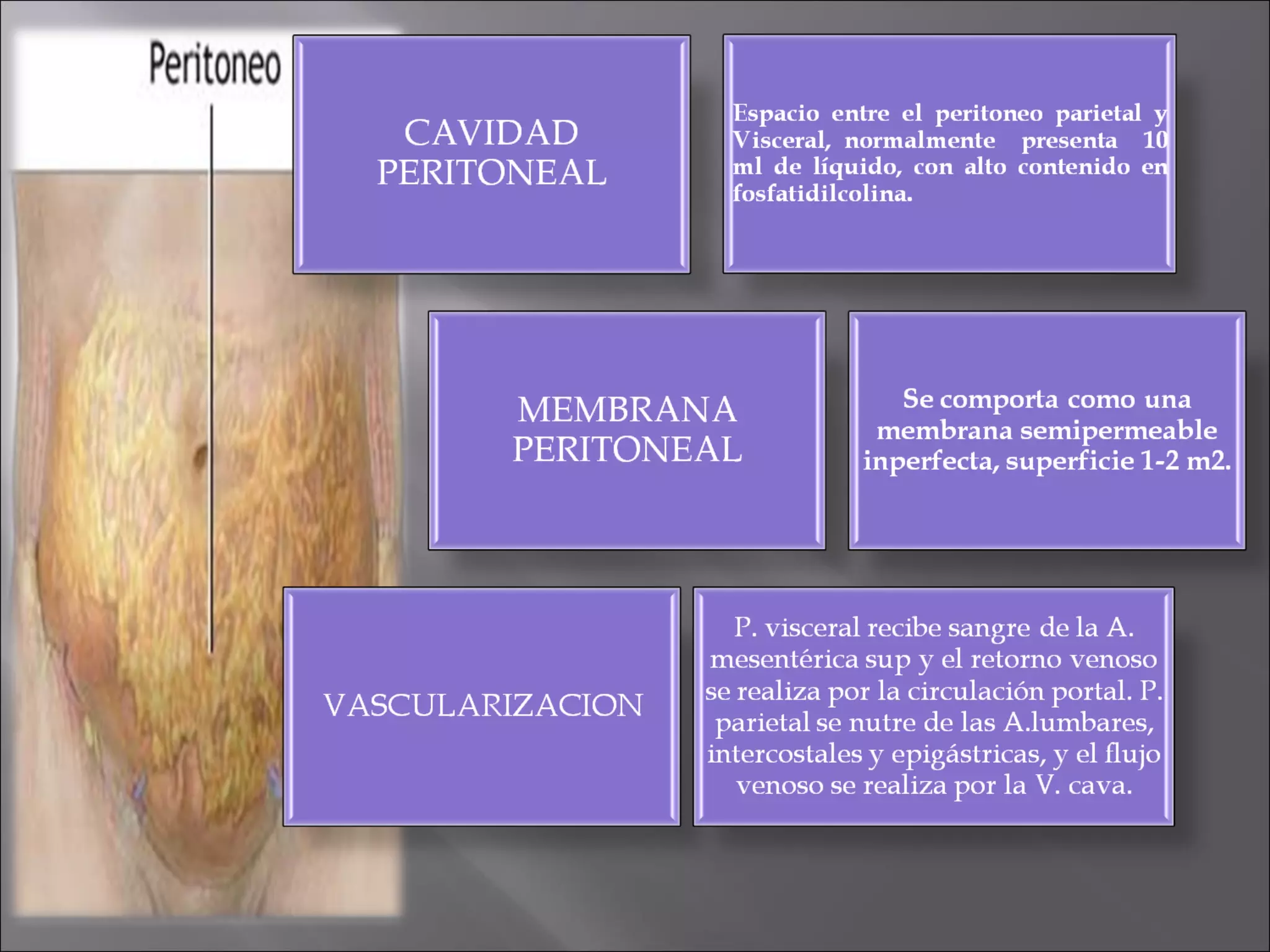 Dialisis peritoneal | PPT