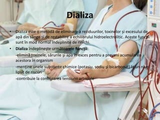 Dializa si transplantul renal | PPTX