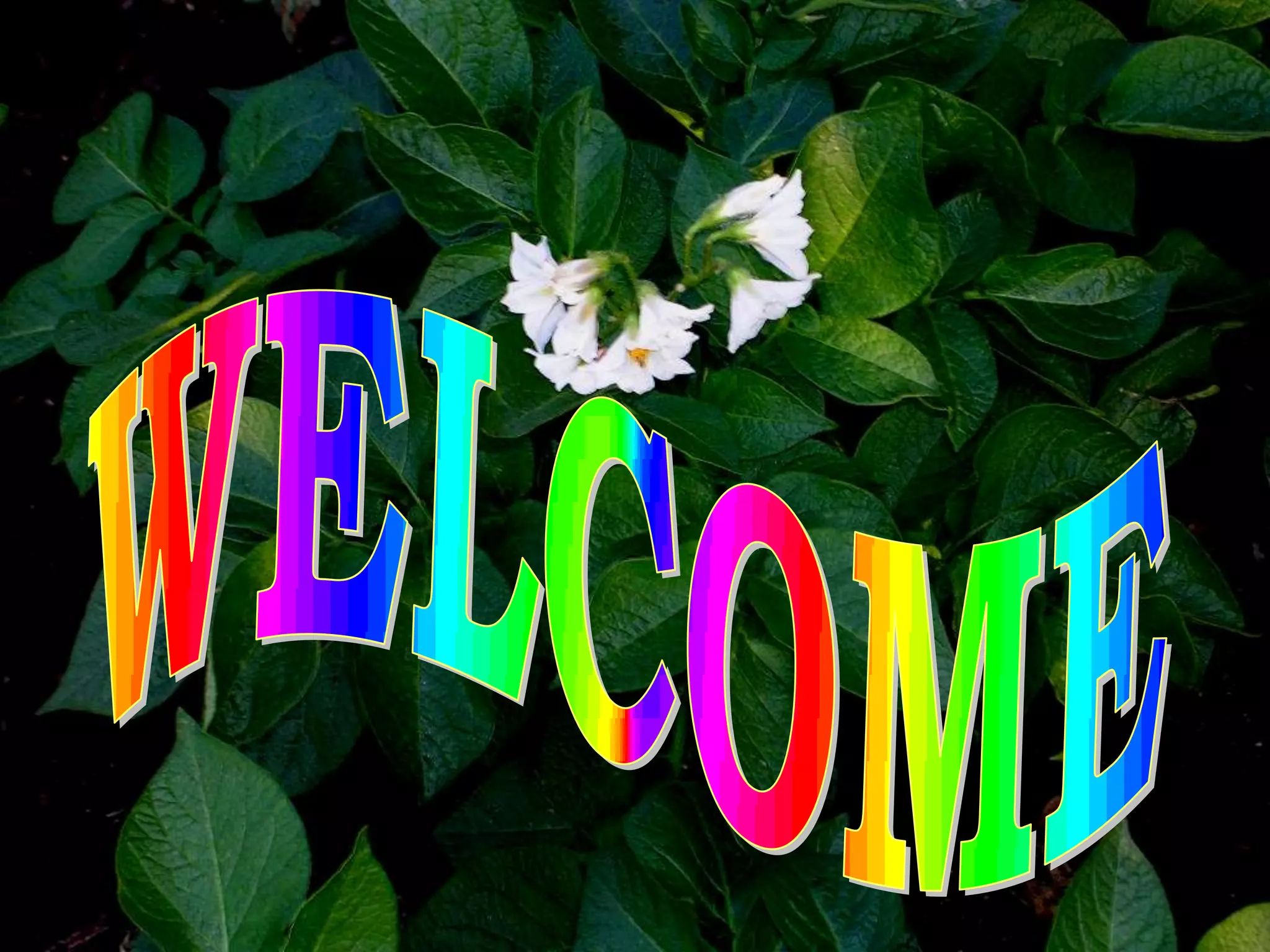 Diallele selective mating system | PPTX