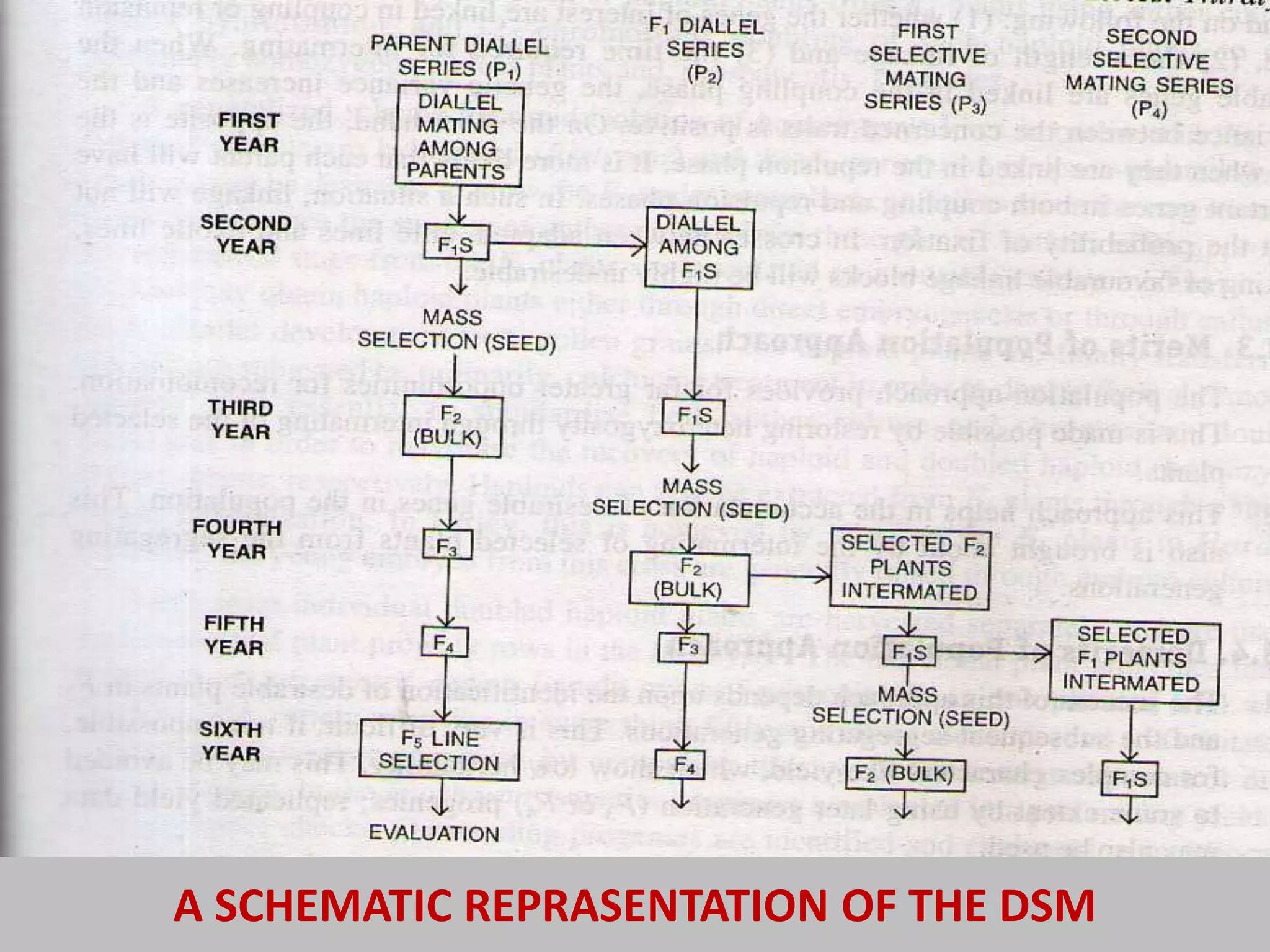 Diallele selective mating system | PPTX