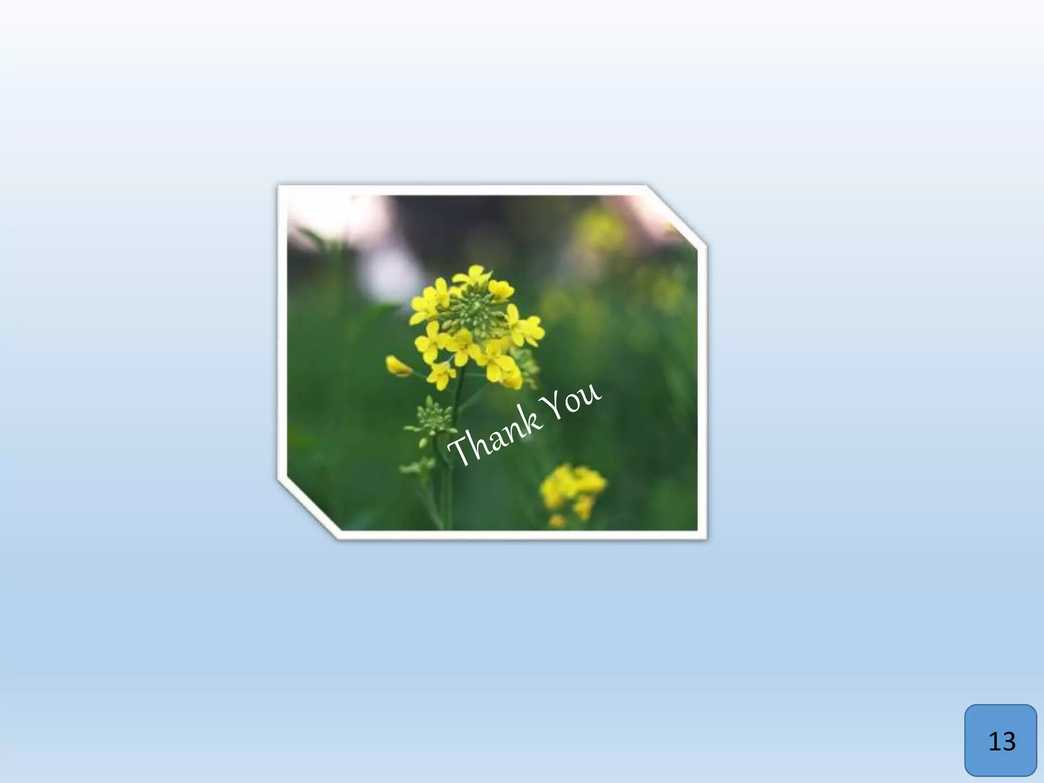 Diallel mating in selected mustard genotypes | PPT