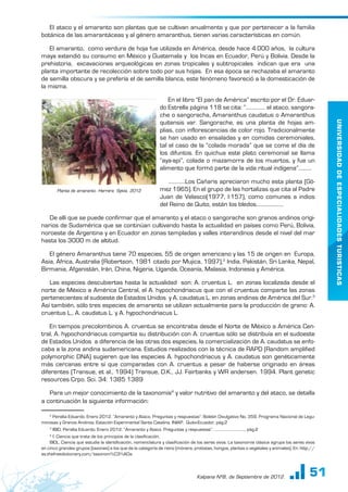 El Amaranto: prodigioso alimento para la longevidad y la vida | PDF