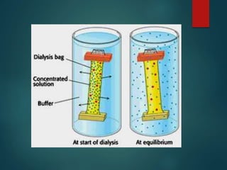 Dialysis | PPTX