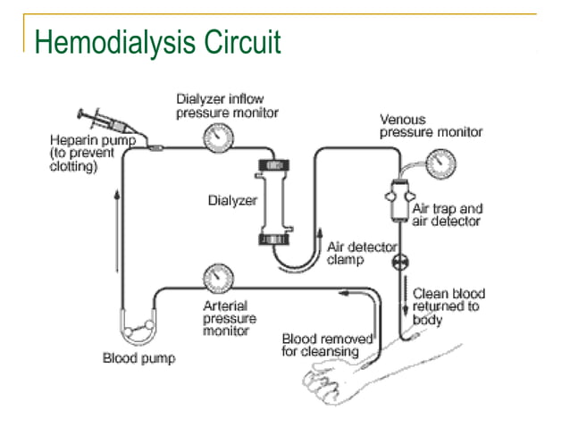 Dialysis dose prescription (the basics) dr ujjawal | PPT | Blood ...