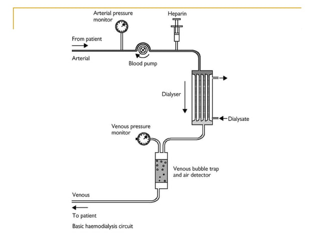 Dialysis dose prescription (the basics) dr ujjawal | PPT | Blood ...