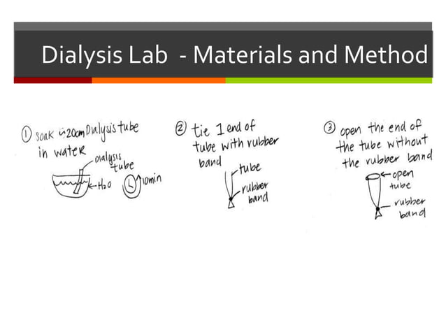 Dialysis lab | PPT