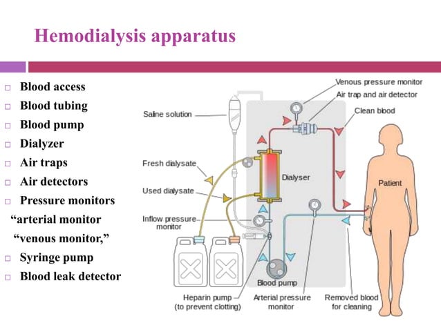 Dialysis various modalities and indices used | PPTX | Blood Disorders ...
