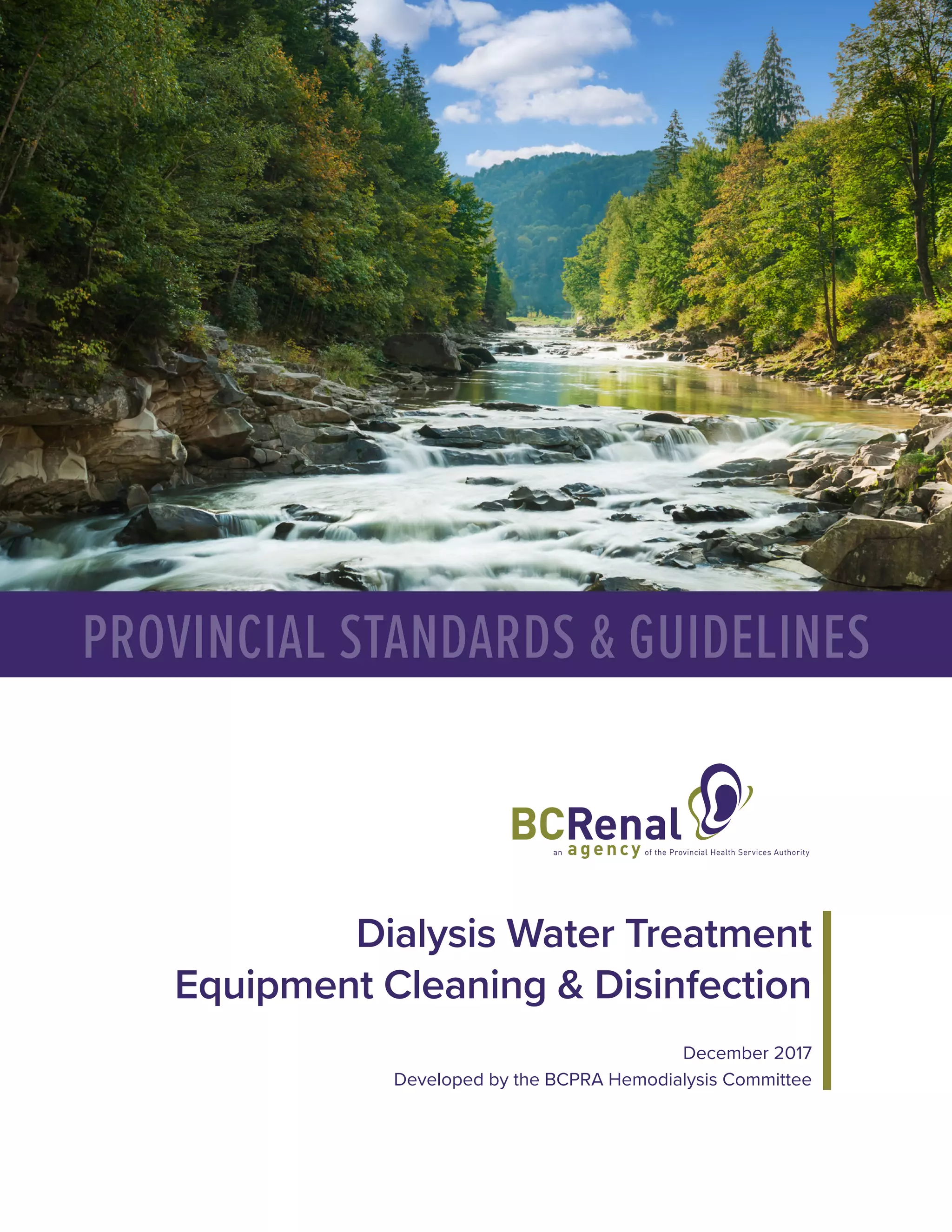 Dialysis water treatment equipment cleaning and disinfection | PDF