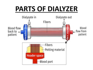 DIALYZER / ARTIFICIAL KIDNEY | PPT