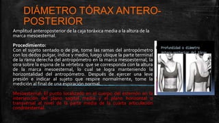 DIAMETROS DE ANTROPOMETRIA PROTOCOLOS Y USO | PPTX