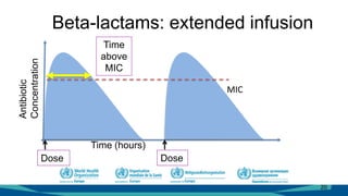 Pharmacology of antimicrobials for clinicians: select topics | PDF