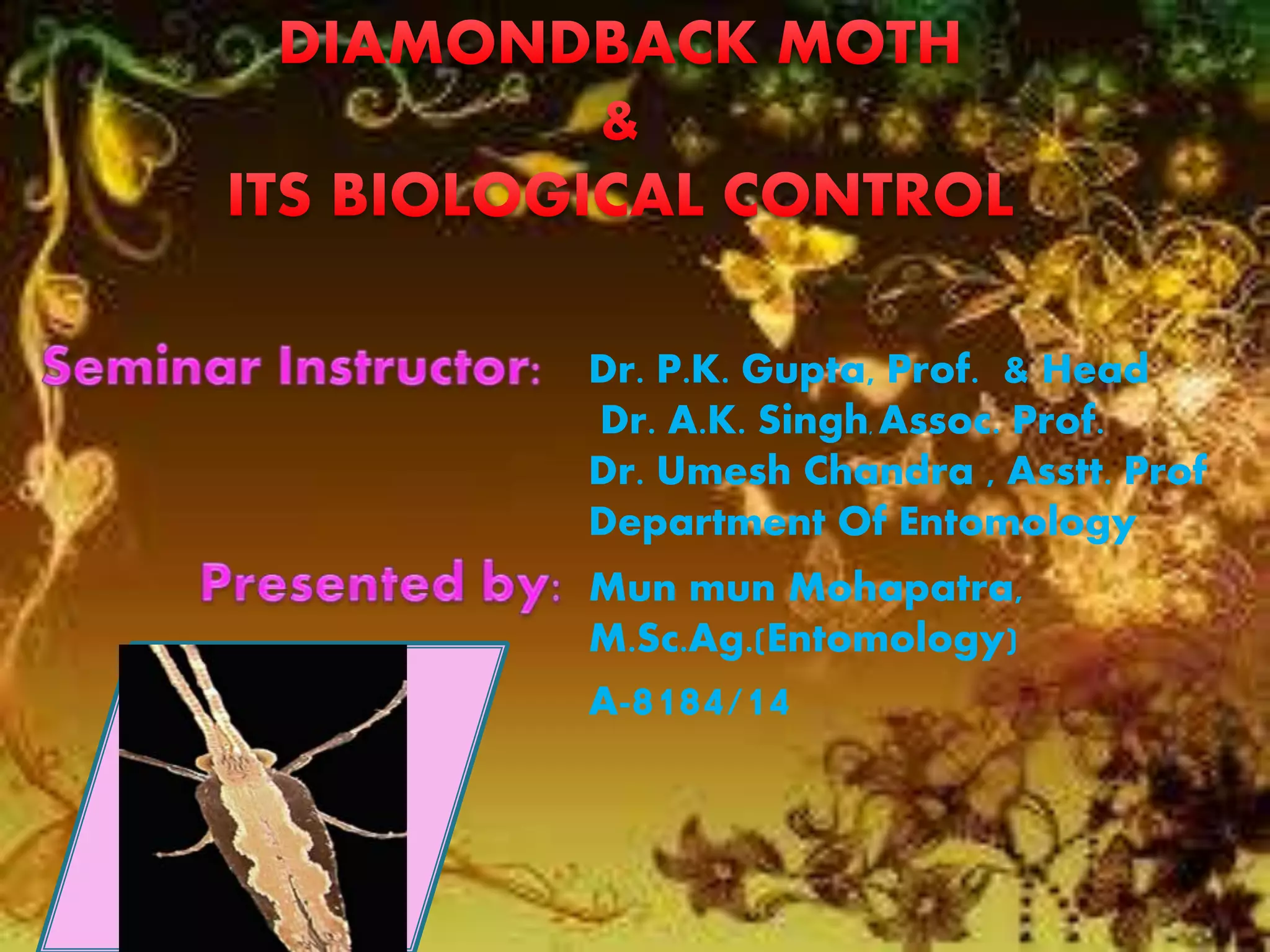 Diamond back moth & its biological control | PPTX