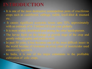 Diamond back moth & its biological control | PPTX