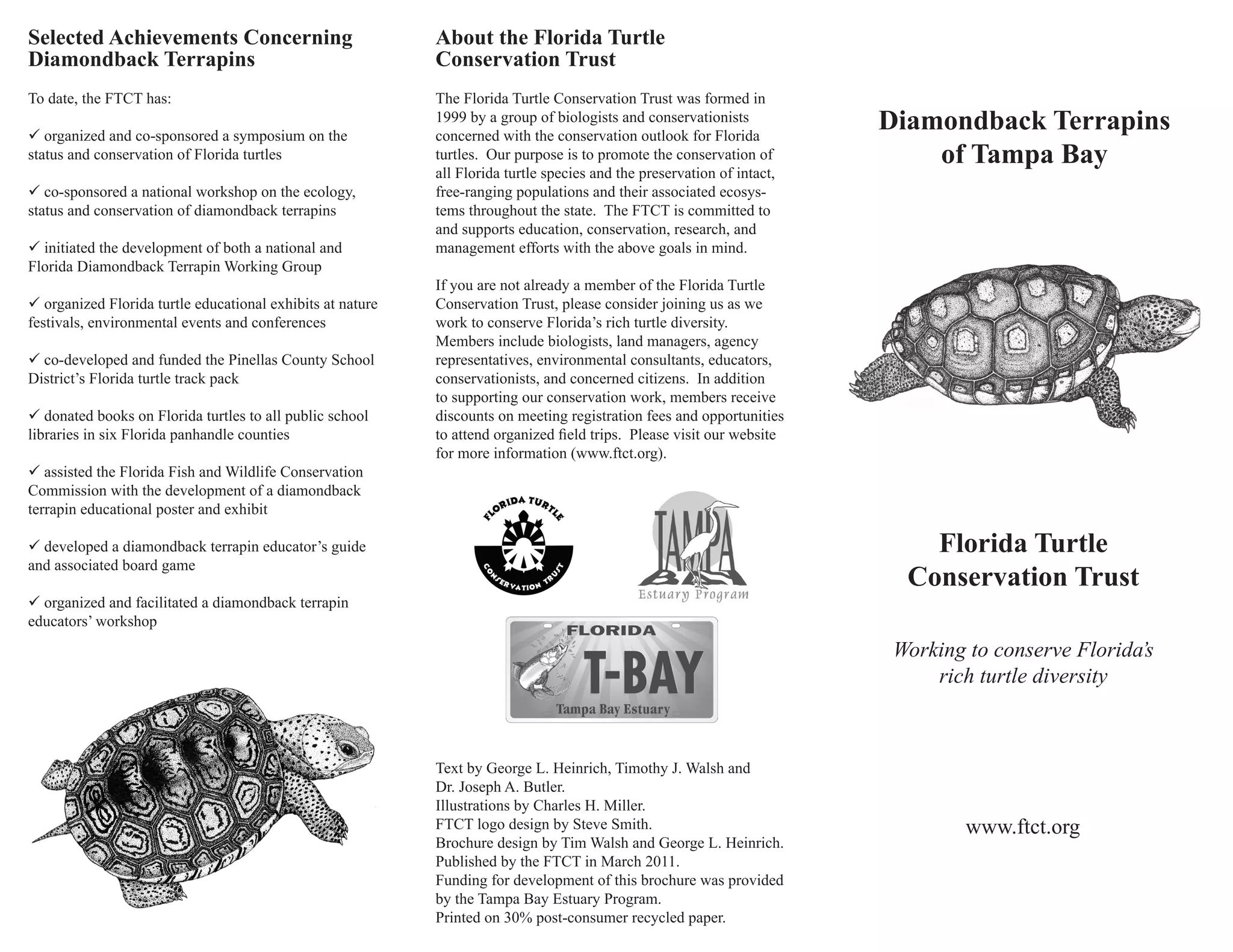 Diamondback terrapin brochure_(final) | PDF