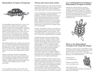Diamondback terrapin brochure_(final) | PDF